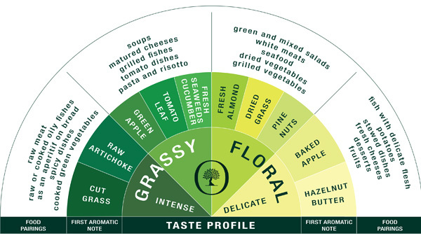 FIND YOUR PERFECT OLIVE OIL - Oliviers & Co